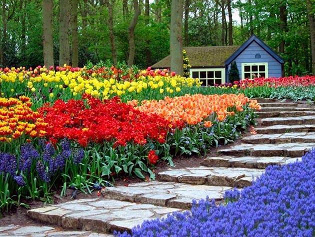 Top 10 Most Beautiful Blooming Gardens In The World - DF Row